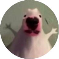 MLg Plate 's Post|Lemon8