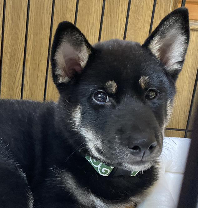 ☆yuri☆'s Post|Lemon8