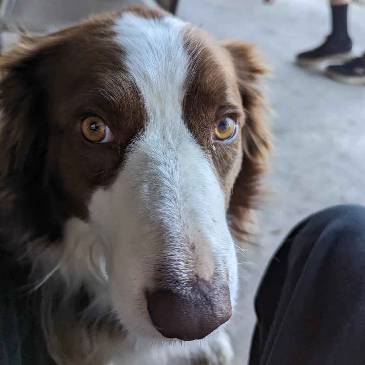 Musty Justy's Post|Lemon8