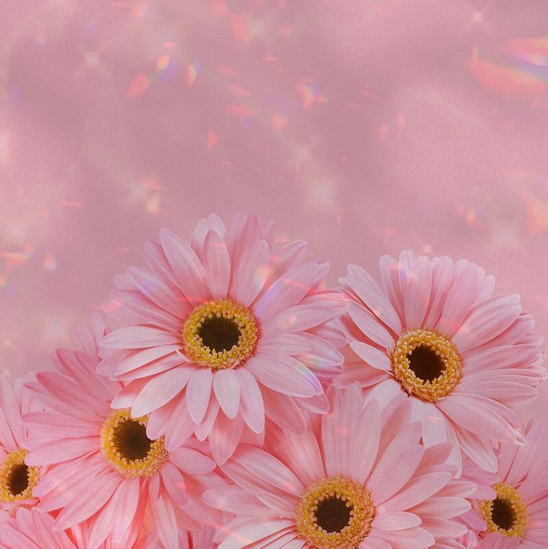 Kaley Allen's Post|Lemon8