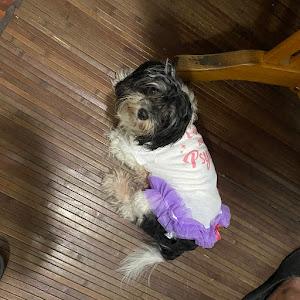 MS IRIS 1's Post|Lemon8