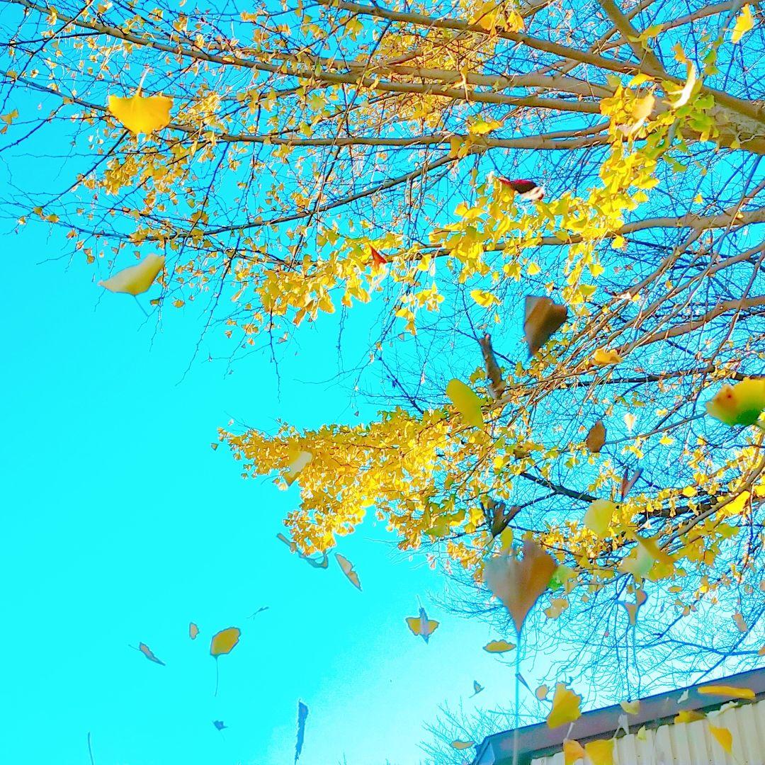 Yuki 𓂃𓈒𓏸︎'s Post|Lemon8