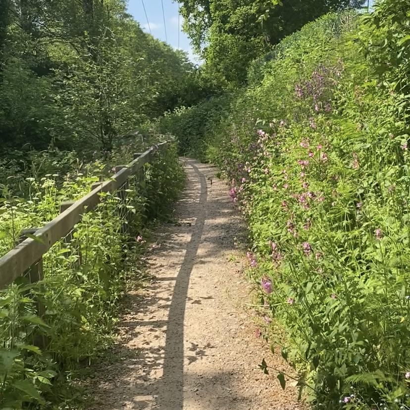 millie🤍's Post|Lemon8