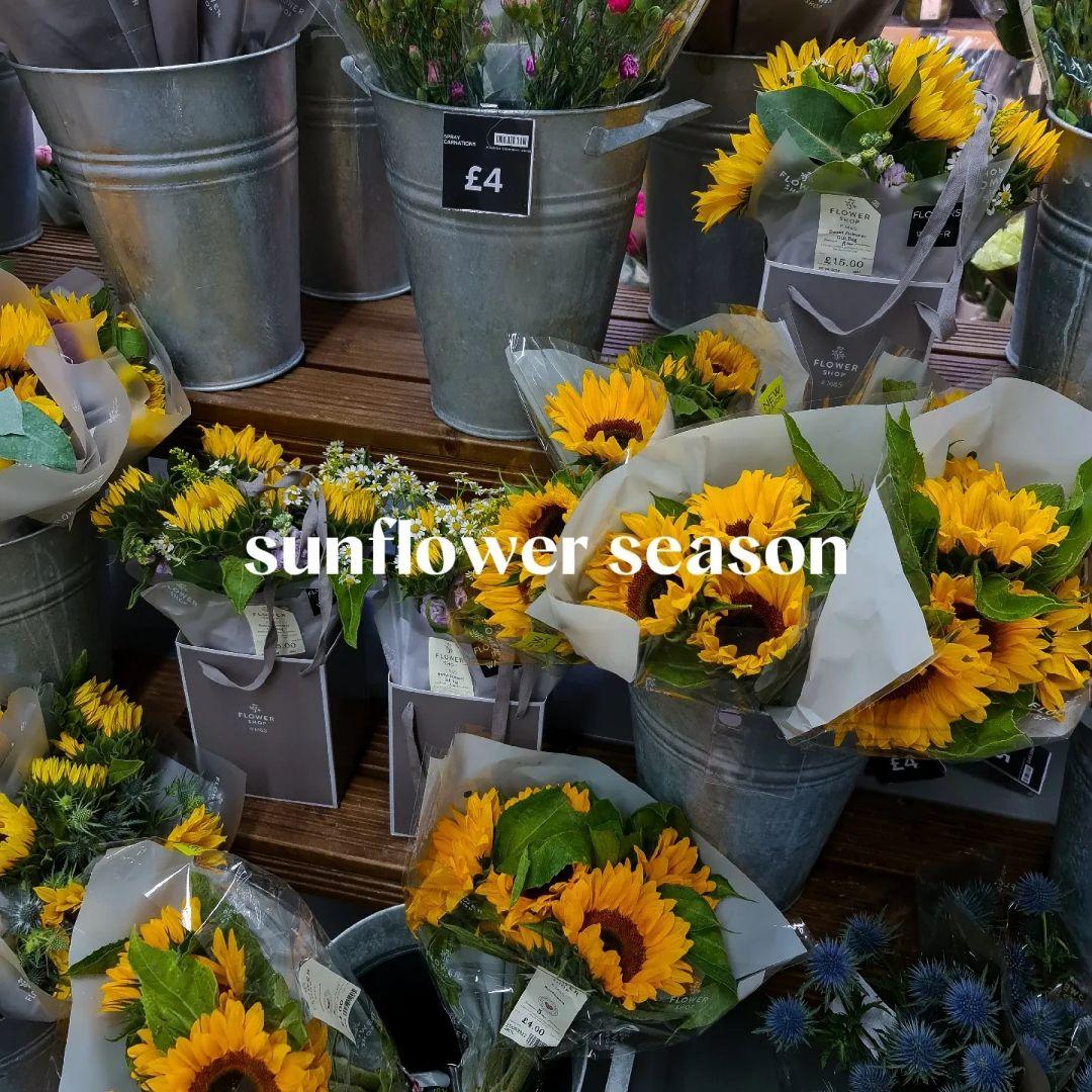 Charlie's Post|Lemon8