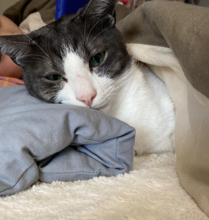 にゃんぷぅ♡'s Post|Lemon8