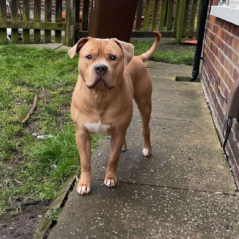 Anthony Mac's Post|Lemon8