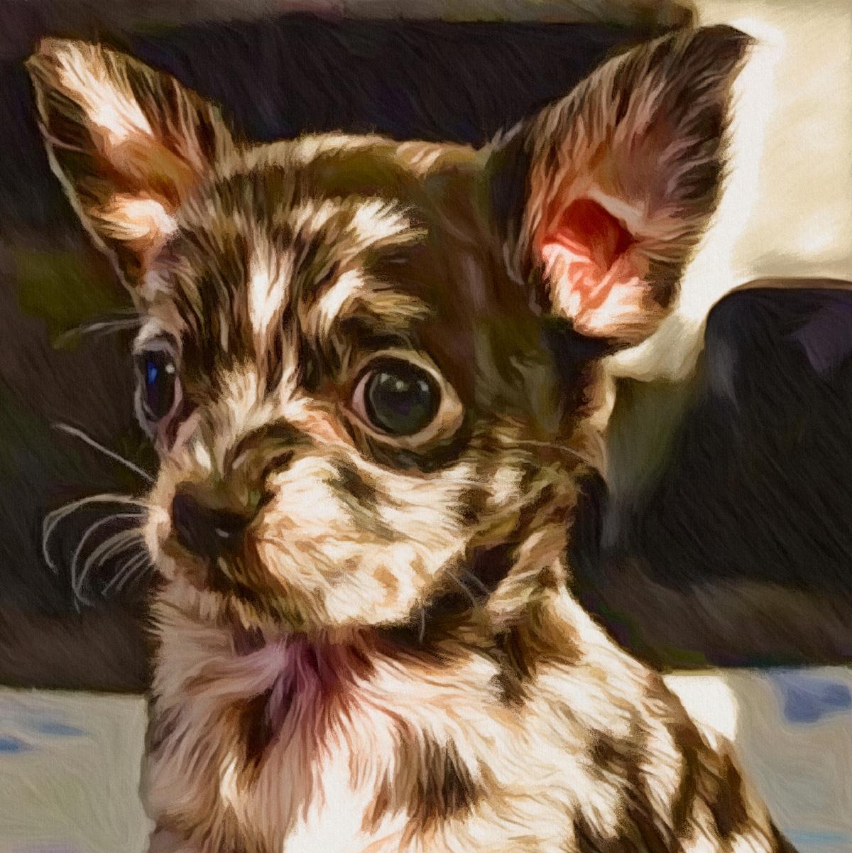 Samara Ara's Post|Lemon8