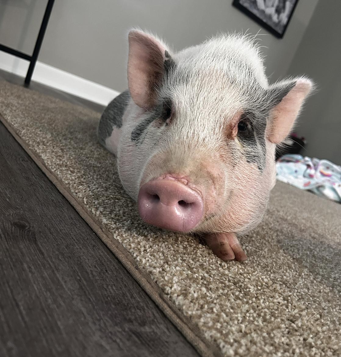 LemonE's Post|Lemon8