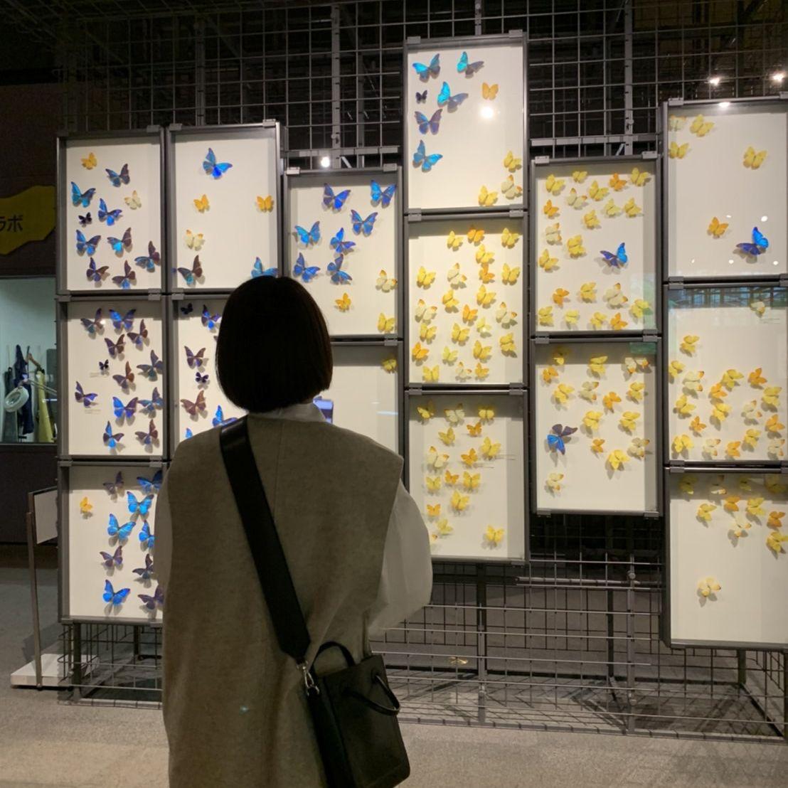 tom＊'s Post|Lemon8