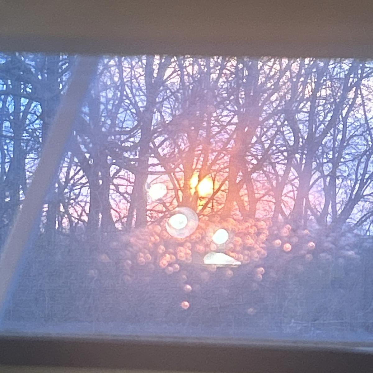 Hay,lan,ell's Post|Lemon8