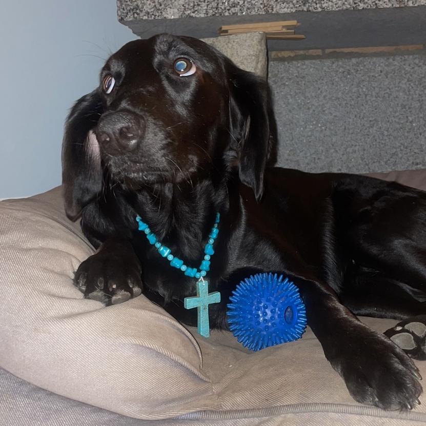 Lucy Corral's Post|Lemon8