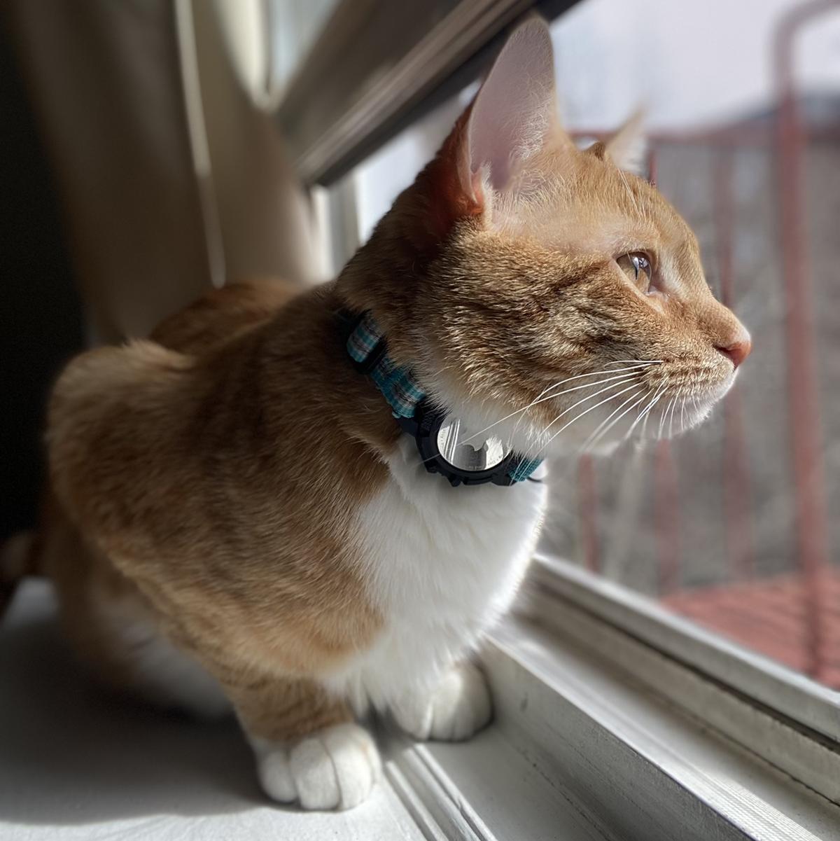 Simba Moise's Post|Lemon8