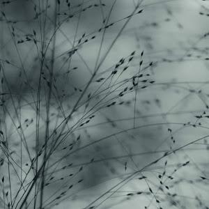 Madeline Keefe's Post|Lemon8