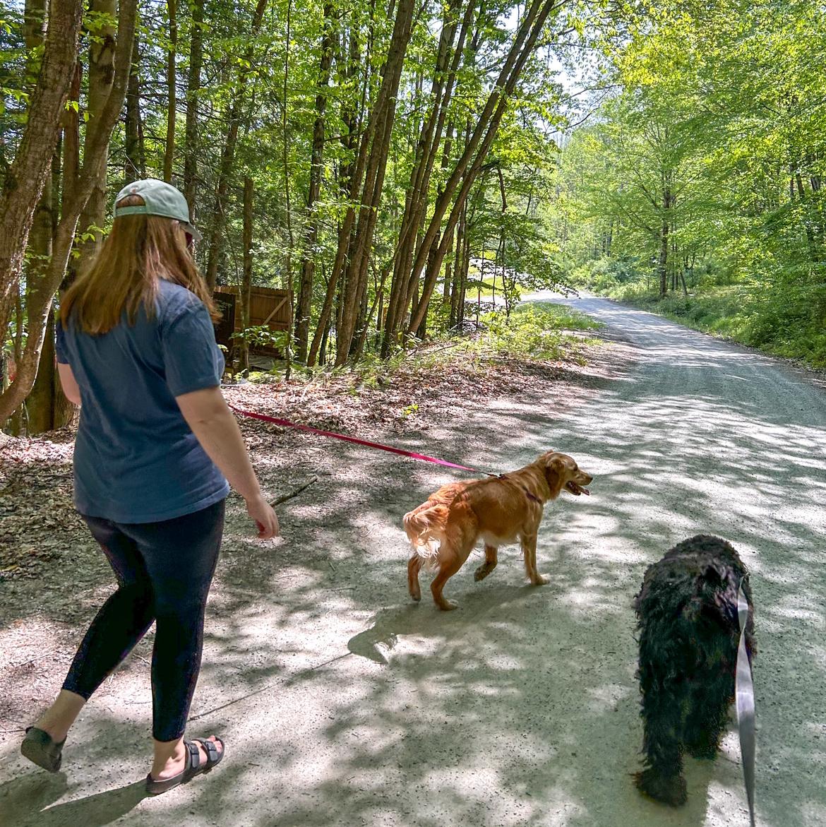 Emily Delpさんの投稿|Lemon8