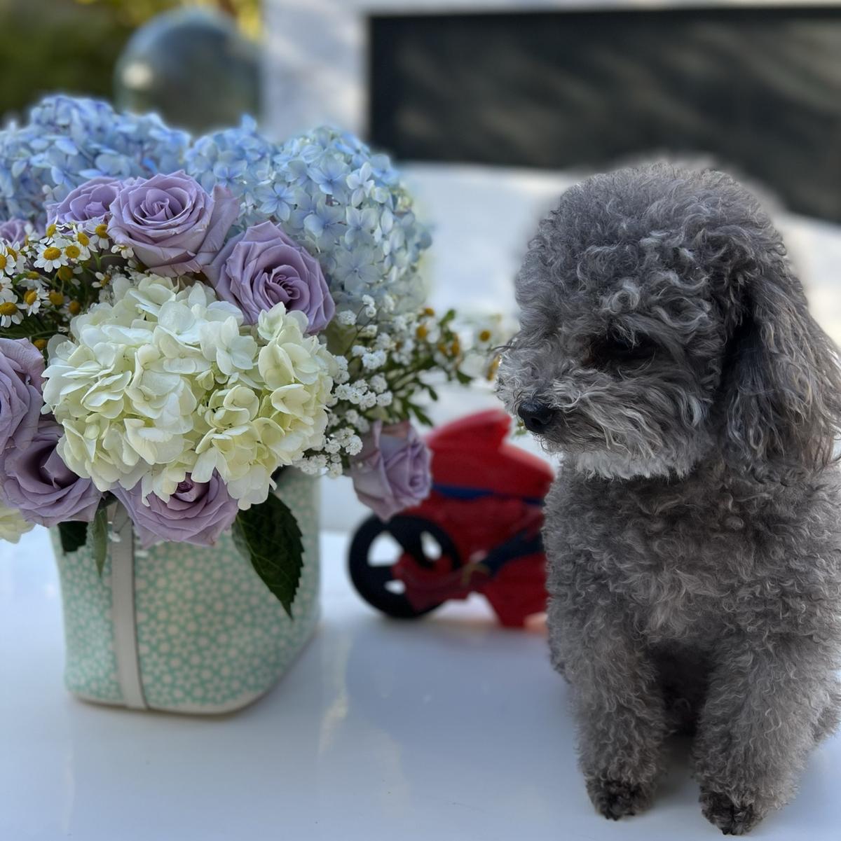 Kris Zahara's Post|Lemon8