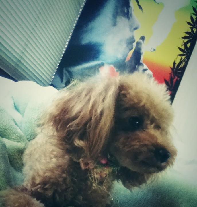 Mr.k さんの投稿|Lemon8