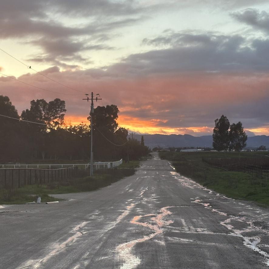 Phoebe🌷 🎀🕊️🕯️🎧's Post|Lemon8