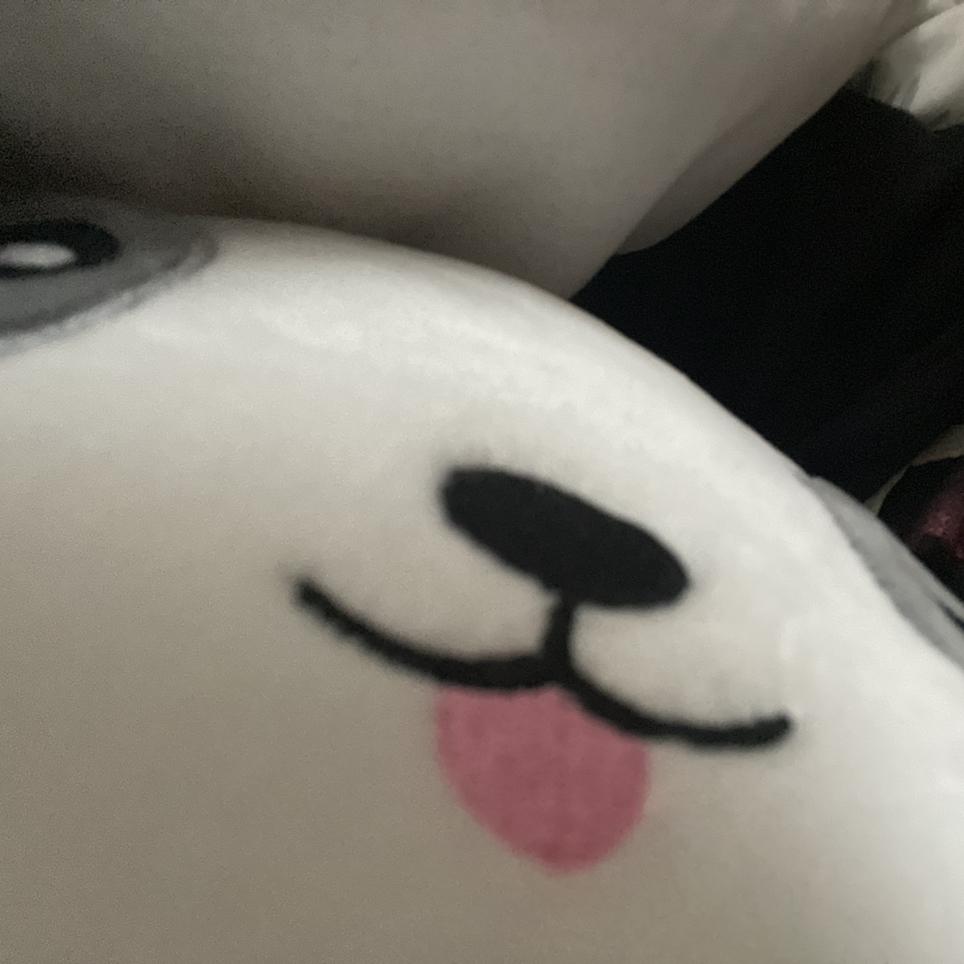 Astor 's Post|Lemon8