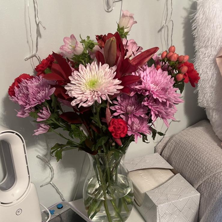 Isa Rose's Post|Lemon8