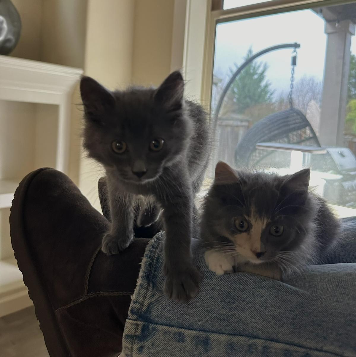 charlotte's Post|Lemon8