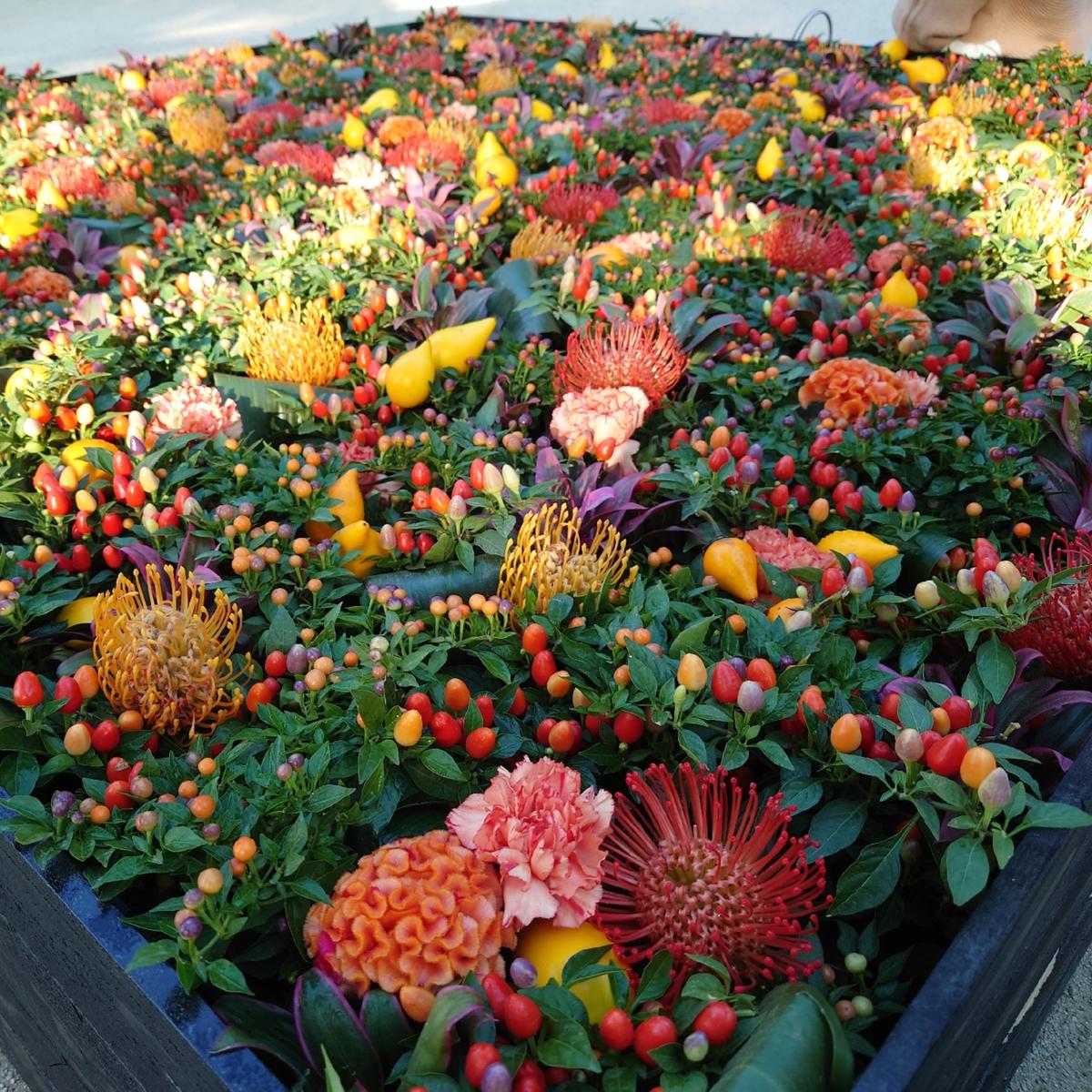 yukoさんの投稿|Lemon8