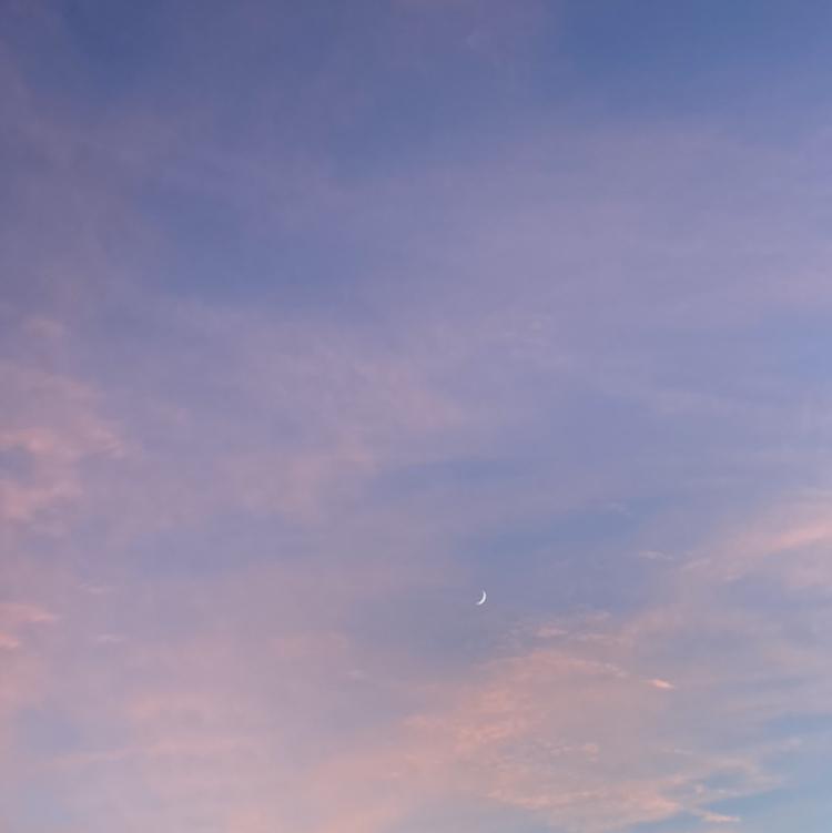 Averi😝💗's Post|Lemon8