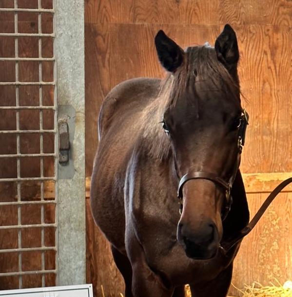 bubble's Post|Lemon8