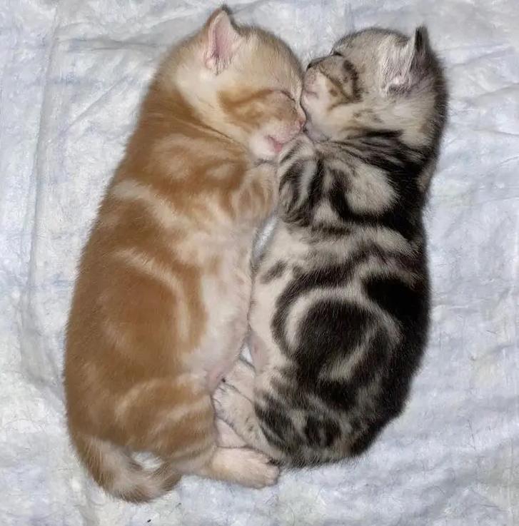 I_luv_yk's Post|Lemon8