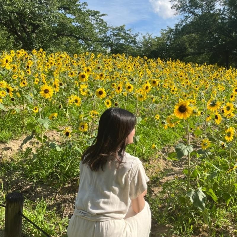 Ringoさんの投稿|Lemon8