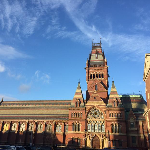 Tokiii Sándor's Post|Lemon8