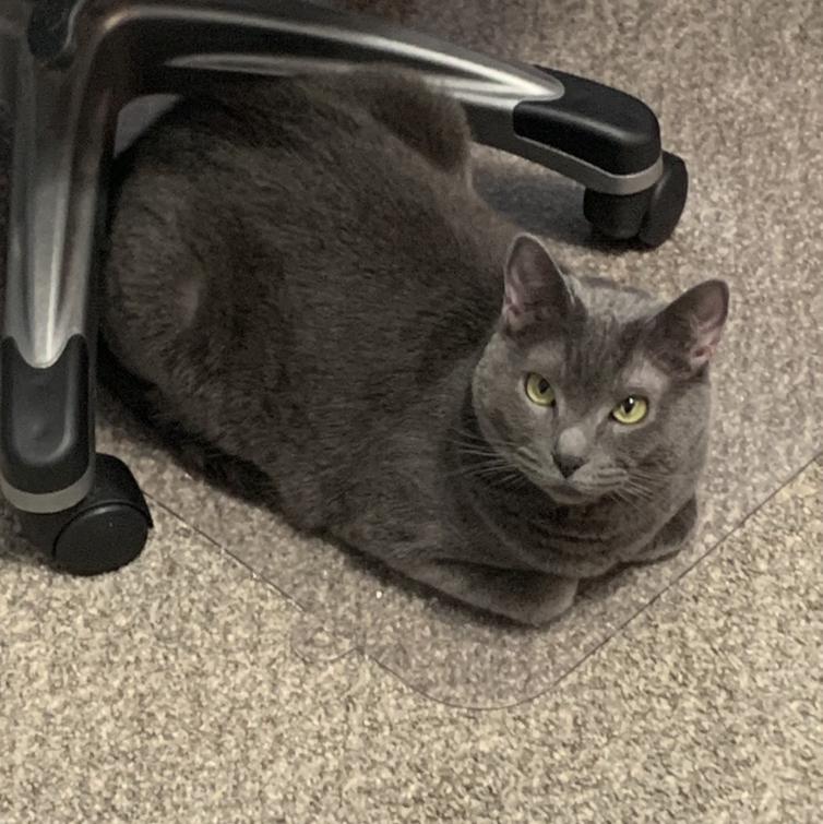 Summer B's Post|Lemon8