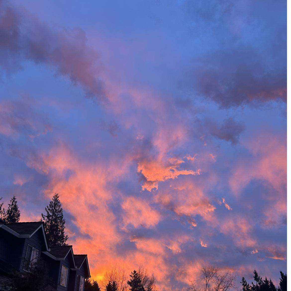 Kaelie💙🦋's Post|Lemon8