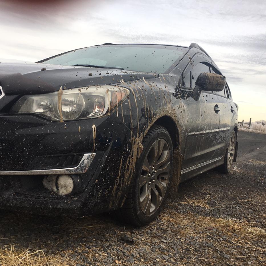 Abby Brady's Post|Lemon8