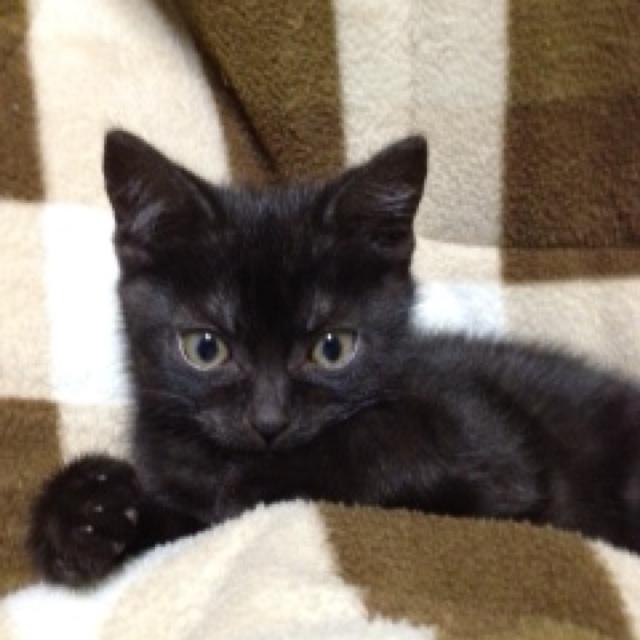 ZIZIさんの投稿|Lemon8