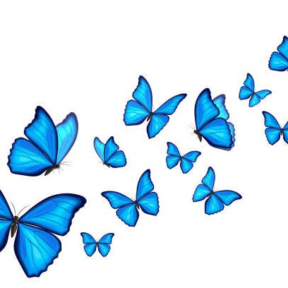 volleyball_ph 's Post|Lemon8