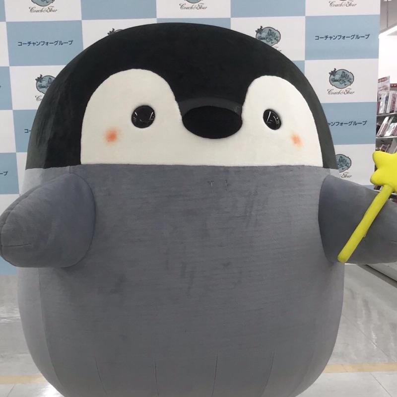 Jun kawa's Post|Lemon8