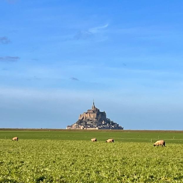 Randy B's Post|Lemon8