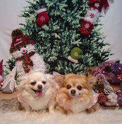 Yumiko Sakamoto's Post|Lemon8