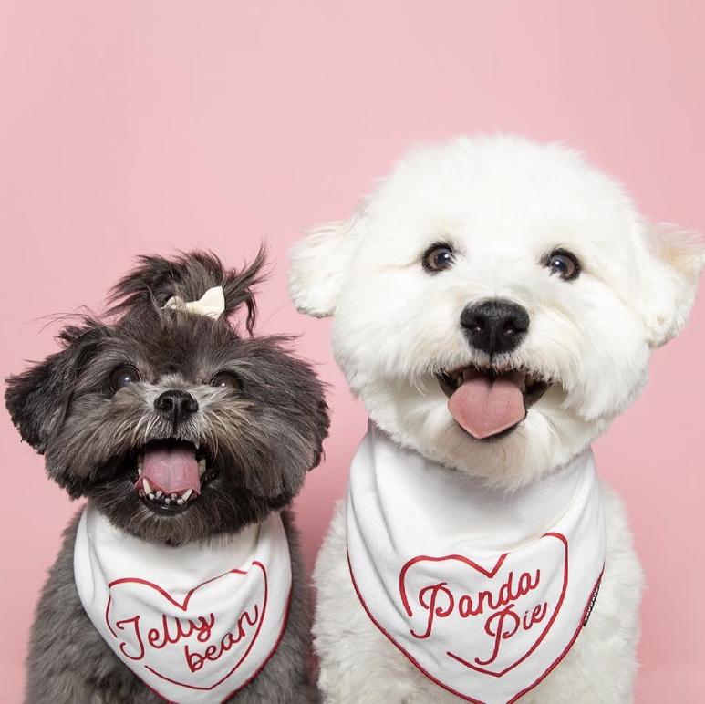 panda & jelly 's Post|Lemon8