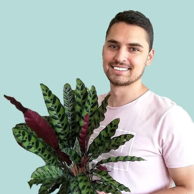 Ivan Ilic 🌿's Post|Lemon8