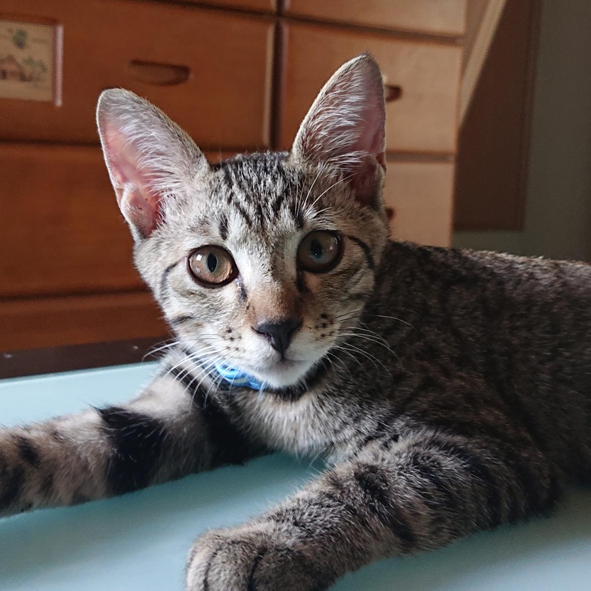 y.hiro(とあくん)さんの投稿|Lemon8