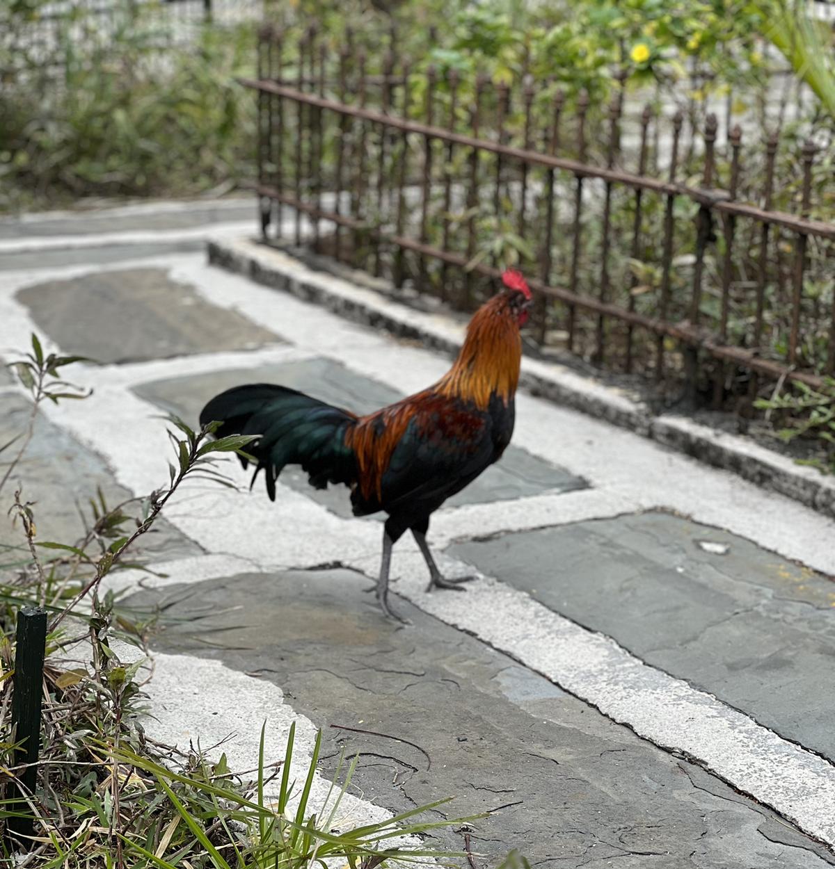 The Simple Life's Post|Lemon8