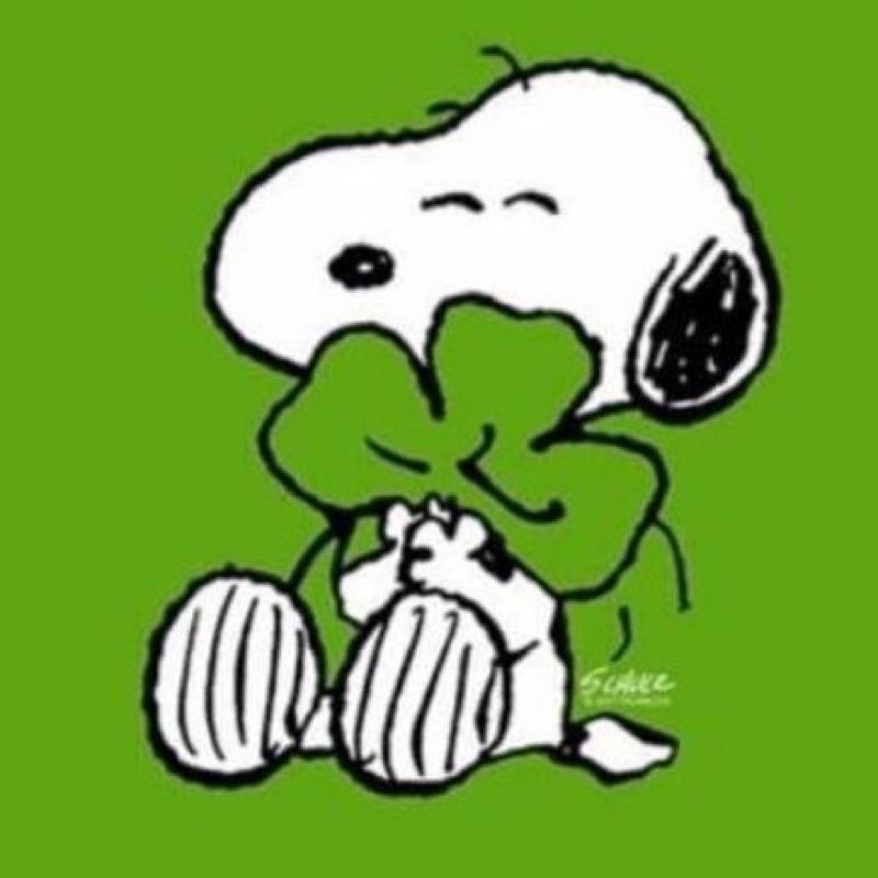 Kumiko.Tsujiさんの投稿|Lemon8