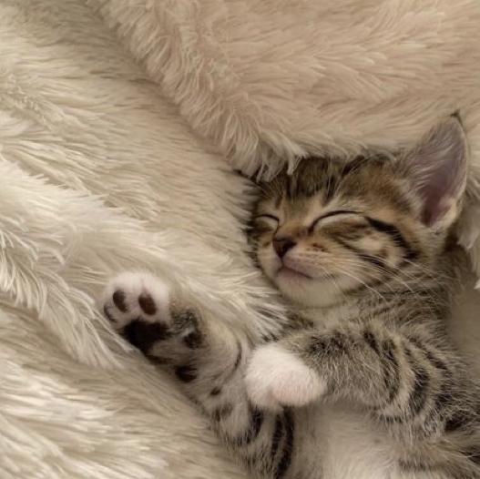 Grace 's Post|Lemon8