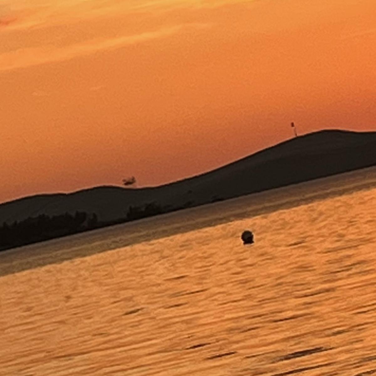 Olivia Jack's Post|Lemon8