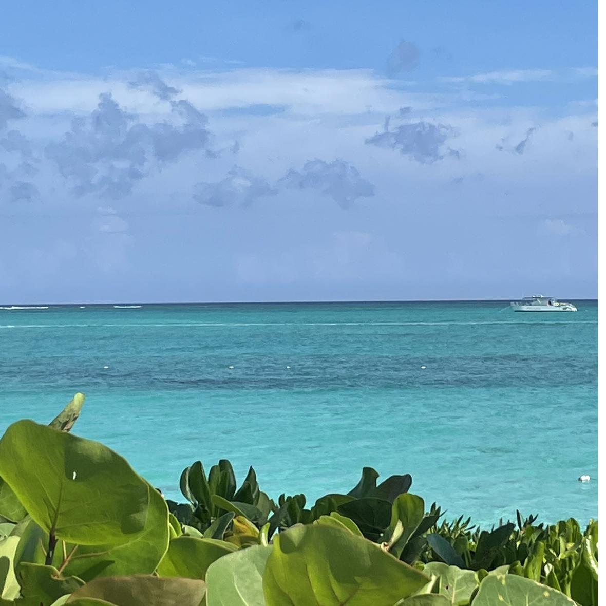 MK Shields's Post|Lemon8