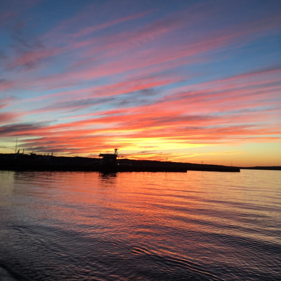 Inez🫶🏼's Post|Lemon8