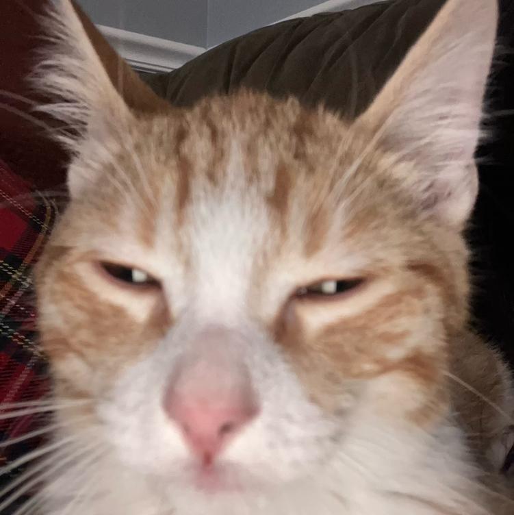 Jade.xoxo's Post|Lemon8