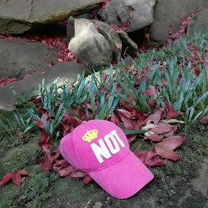 major noss's Post|Lemon8