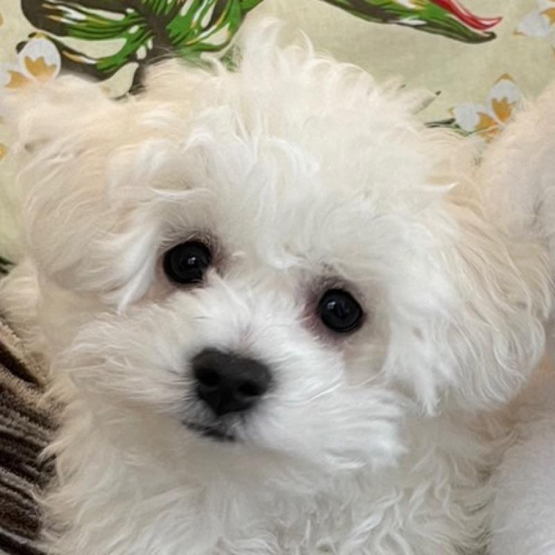 Jun Takehara's Post|Lemon8